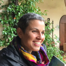 Listening the Earth vibrations to characterize the basin response ...